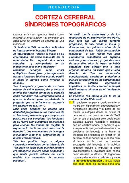 Resumen Corteza Cerebral S Ndromes Topogr Ficos Med Student Udocz