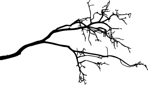 Tree Branch Silhouette Png Transparent Vol Onlygfx
