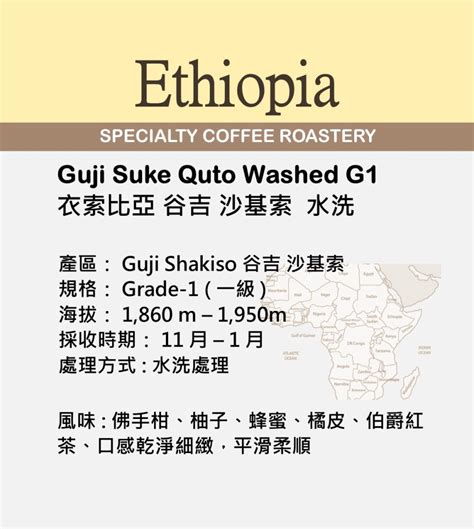 EthiopiaGuji Suke Quto Washed G1 衣索比亞 谷吉 沙基索 水洗 150g CityPro