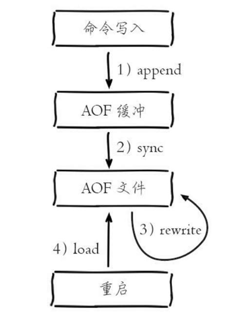 redis 简单整理——持久化之aof[二十] 敖毛毛 博客园