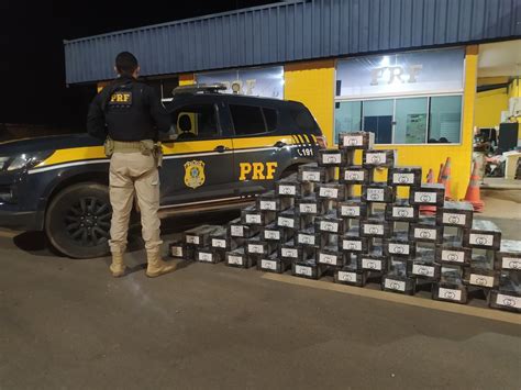 PRF faz maior apreensão de drogas do ano em Rondônia meia tonelada de