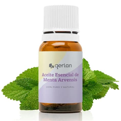 Aceite Esencial de Menta Arvensis Comprar Jabonarium Cosmética Natural