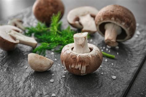 I funghi fanno ingrassare o aiutano a dimagrire Scopri la verità