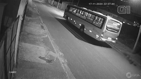 VÍDEO Câmeras registram momento em que ônibus mata atropelado idoso em
