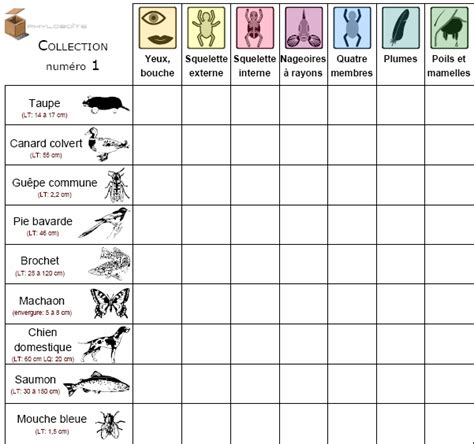 Top Exercice Svt Me Classification Des Etres Vivants Aper U
