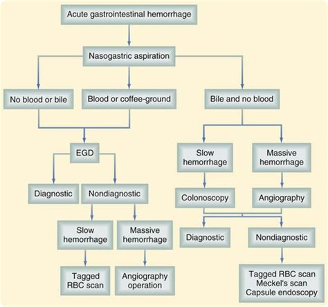 Acute Gastrointestinal Hemorrhage Thoracic Key