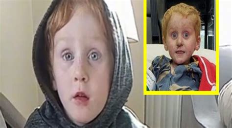 Niño que se perdió dos días en el bosque relata lo que vivió