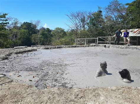 LEau Michel Mud Volcano Trinidad And Tobago Brooklyn Travel