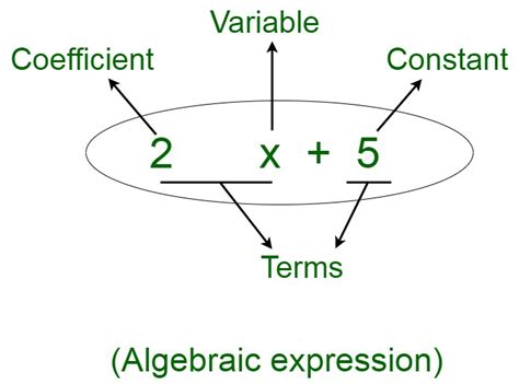 how many terms are there in an algebraic expression geeksforgeeks