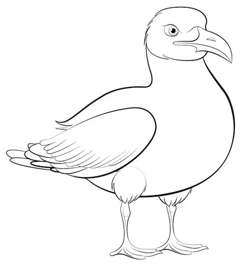 Premium Vector Seagull Cartoon Outline