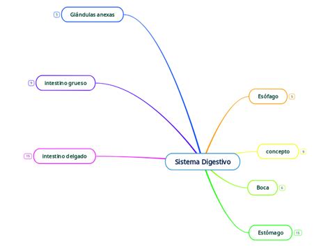 Sistema Digestivo Mindmap Voorbeeld The Best Porn Website