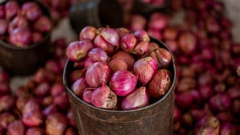Cara Menanam Bawang Merah Yang Mudah Di Rumah