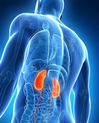 La enfermedad de los riñones causada por la diabetes NIDDK