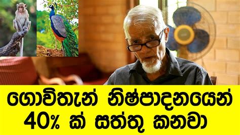 ලකව ගවතන නශපදනයන 40 ක සතත කනව චන පරයෂකයන