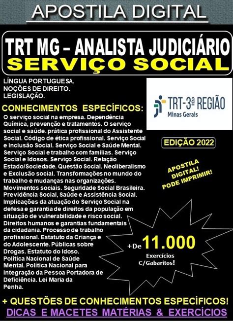 Apostila Trt Mg Analista Judici Rio Servi O Social Teoria