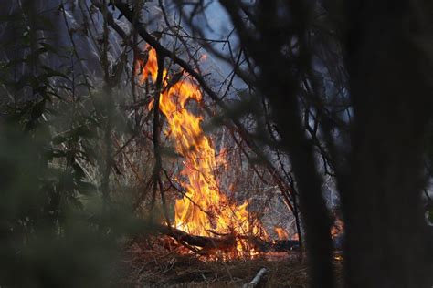 Incendios Forestales Onemi Informa Que Seis Comunas Se Encuentran En