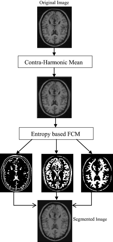 proposed framework for entropy based fuzzy c means clustering algorithm download scientific