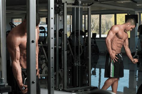 Cable Triceps Pushdowns How To Muscles Worked Benefits Horton Barbell