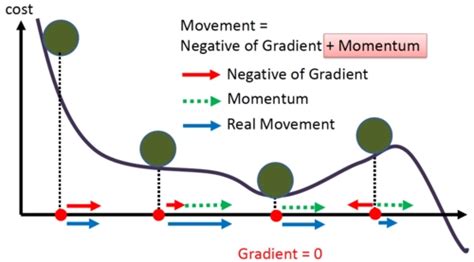 nesterov accelerated gradient coding ninjas