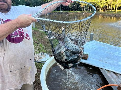 Feirão do Peixe Vivo acontece nesta quinta e sexta feira na Arena Eshe