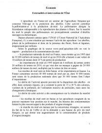externalité et intervention de l etat bts
