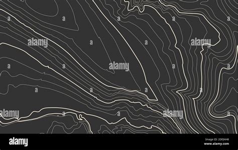 Grey Contours Vector Topography Geographic Mountain Topography Vector