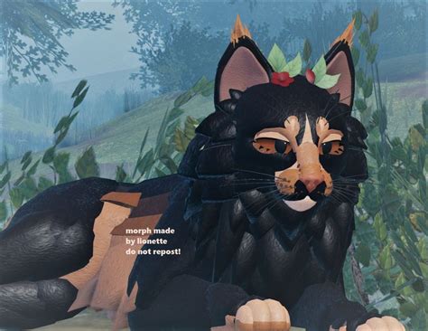 black cream orange wcue morph Süße katzen bilder Süße katzen