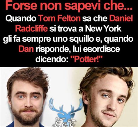 Pin Di Nora Sardella Su Harry Potter Harry Potter Divertente