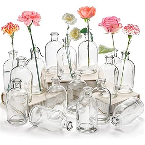 The Best Bottle Vases Of Reviews Findthisbest