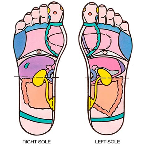Reflexology Continuing Education Units Online Face Foot Hand