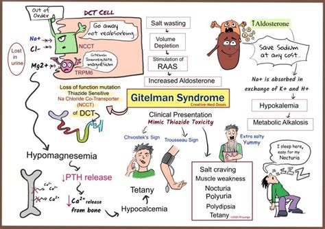 Pin On Medicine Study