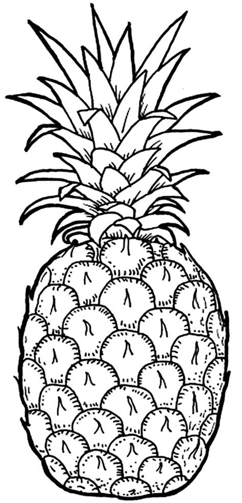 70 Desenhos De Abacaxi Para Colorir E Imprimir