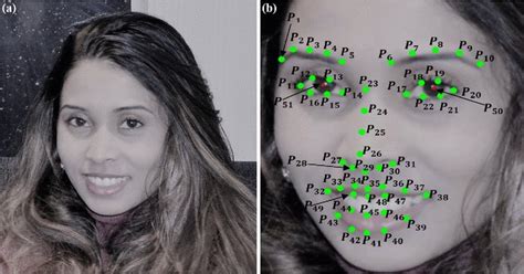 automatic landmark detection a an example input face b landmarks download scientific diagram