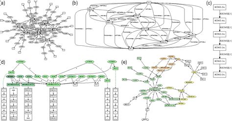 figure 1 from exploiting graph structure to summarize and compress relational knowledge