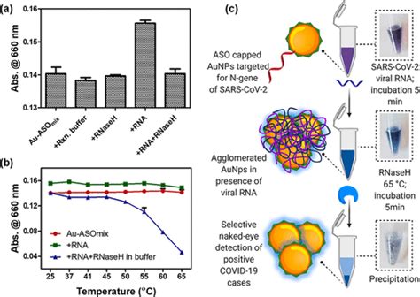 Selective Naked Eye Detection Of Sars Cov Mediated By N Off
