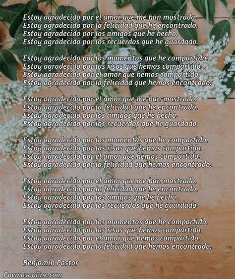 Cinco Poemas Famoso Sobre Las Gracias Poemas Online