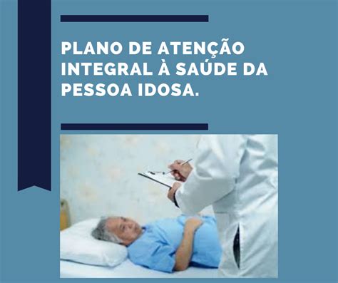 Plano de Atenção Integral à Saúde da Pessoa Idosa