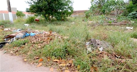 Prefeitura notifica proprietários para a limpeza de terrenos em