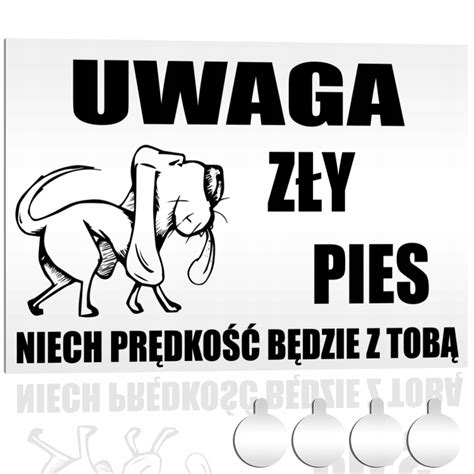 Tabliczka PCV Ostrzegawcza UWAGA ZŁY PIES 30x20 Druk UV przylepce