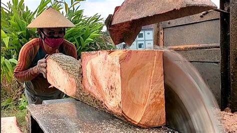 Menembus Jarak Tanpa Batas Gergaji Serkel Keliling Membelah Kayu
