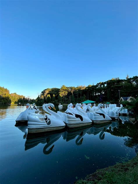 City Tour Gramado E Canela Privativo E Personalizado Para Até 6 Pessoas