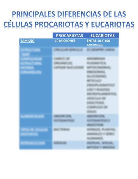 Solution Diferencias Entre Celulas Procariotas Y Eucariotas Studypool
