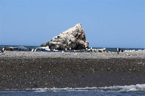 Mar Tropical De Grau Se Hizo Realidad Esta Es La Nueva Reserva