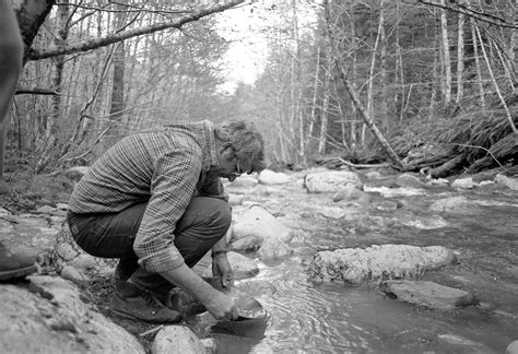 Prospector Bc Gold Adventures