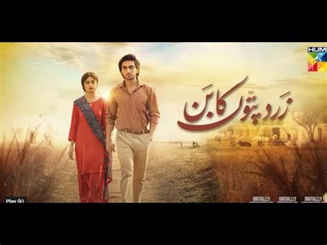 Zard Patton Ka Bunn Drama Episoden Complete Story L Last Episode L