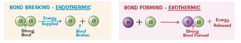 C5 BOND ENERGIES Diagram Quizlet