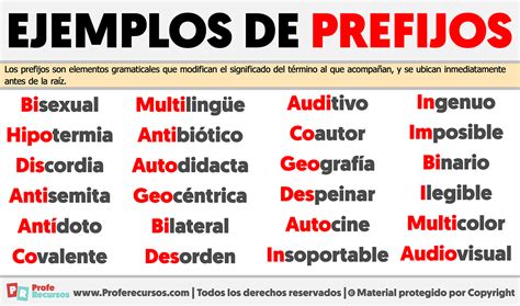 Cuáles son los ejemplos más destacados de palabras con el prefijo foto