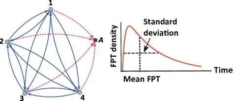 schematic description of a markov jump process on a network with an download scientific diagram