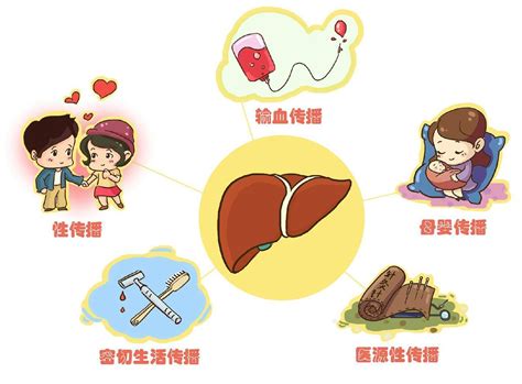 假性乙肝是乙肝吗？ 防治指南 文章中心 战胜乙肝网
