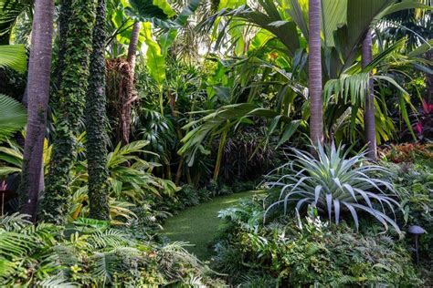 Planting Compositions Craig Reynolds Landscape Architects Small